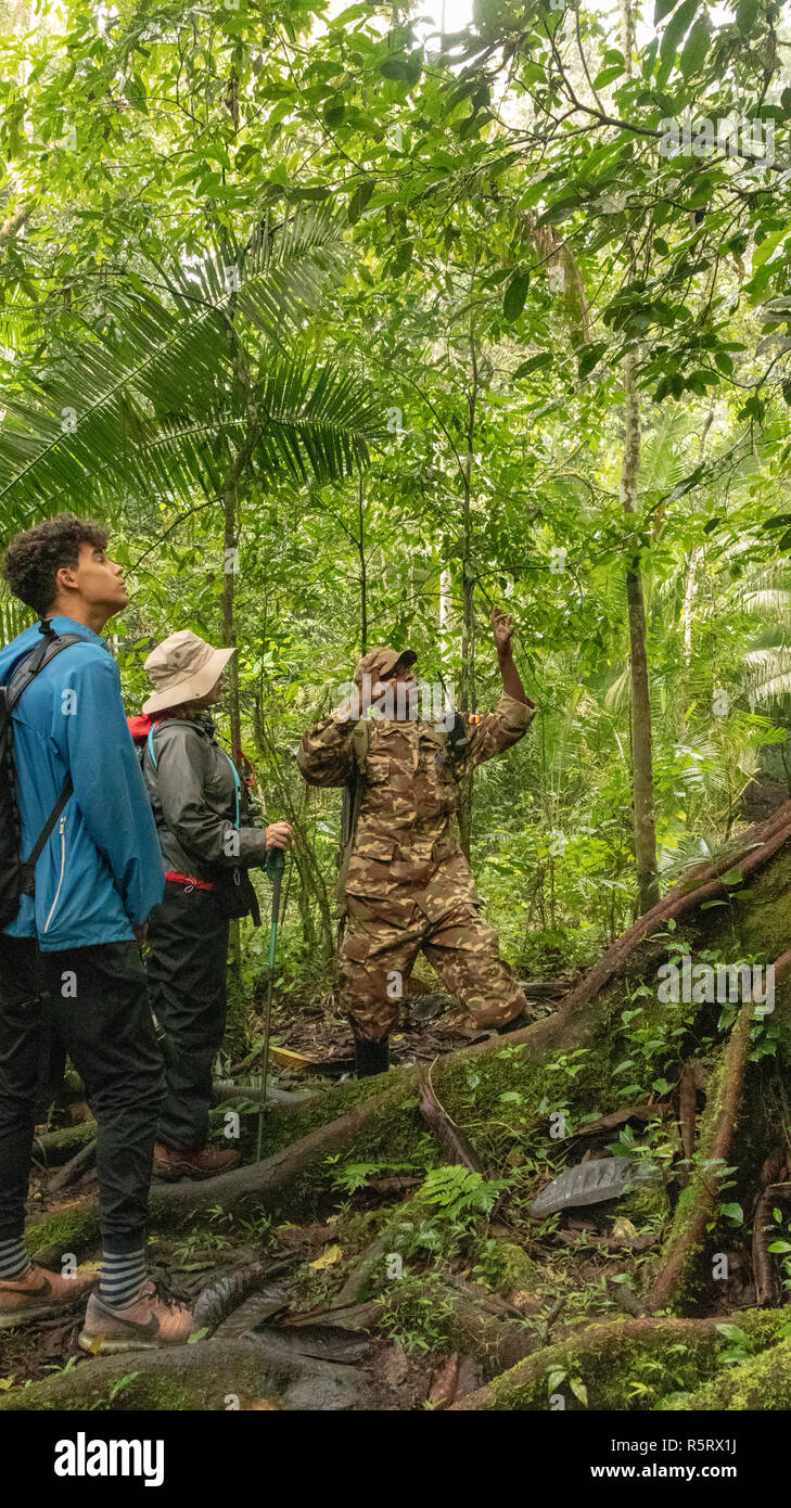 park ranger talking to tourists, Kibale National Forest, Uganda Stock ...