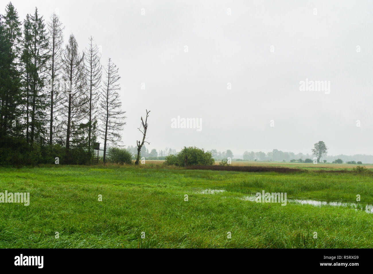 wet and cold weather Stock Photo - Alamy