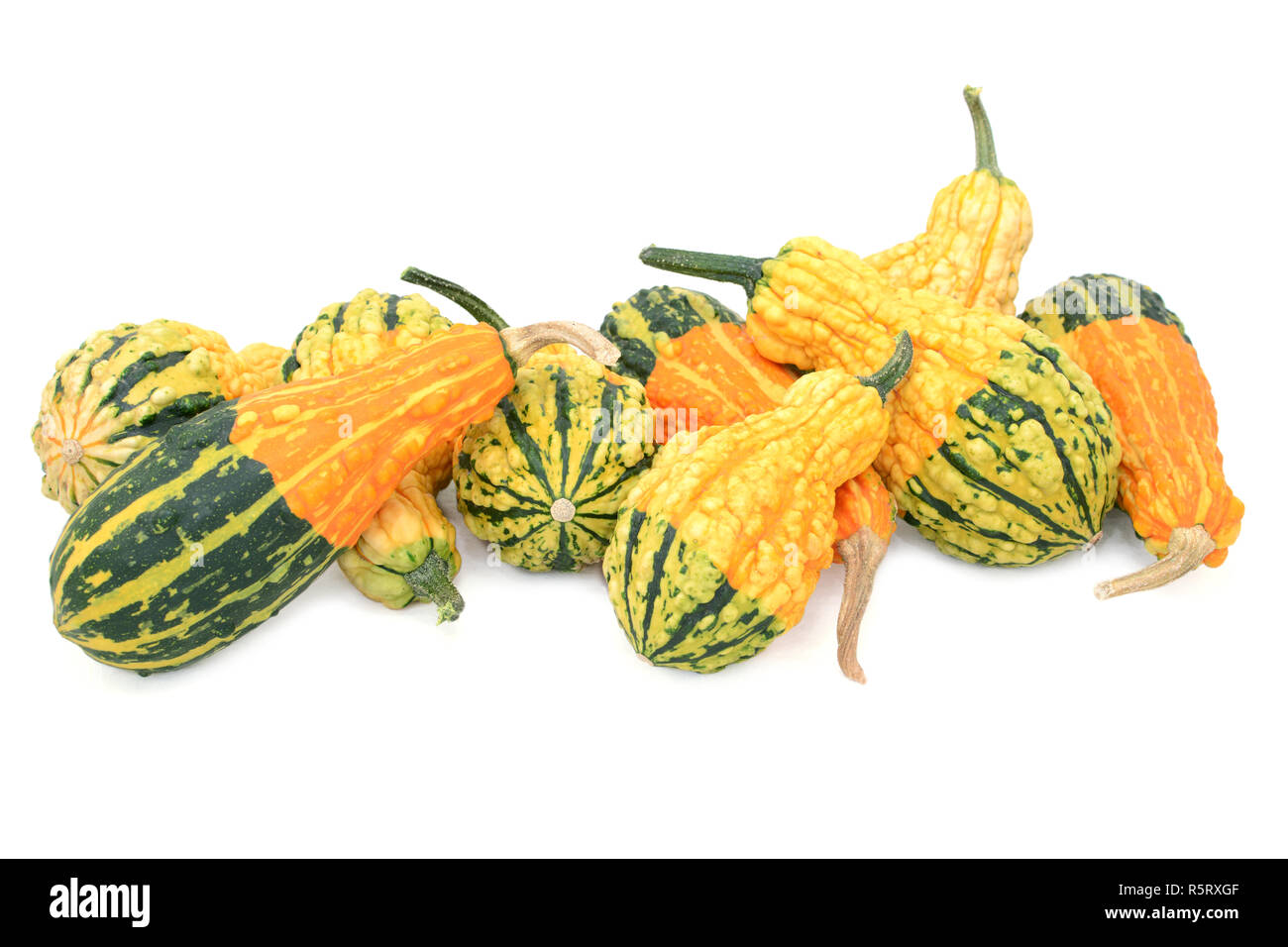 Bumpy gourds Cut Out Stock Images & Pictures - Alamy