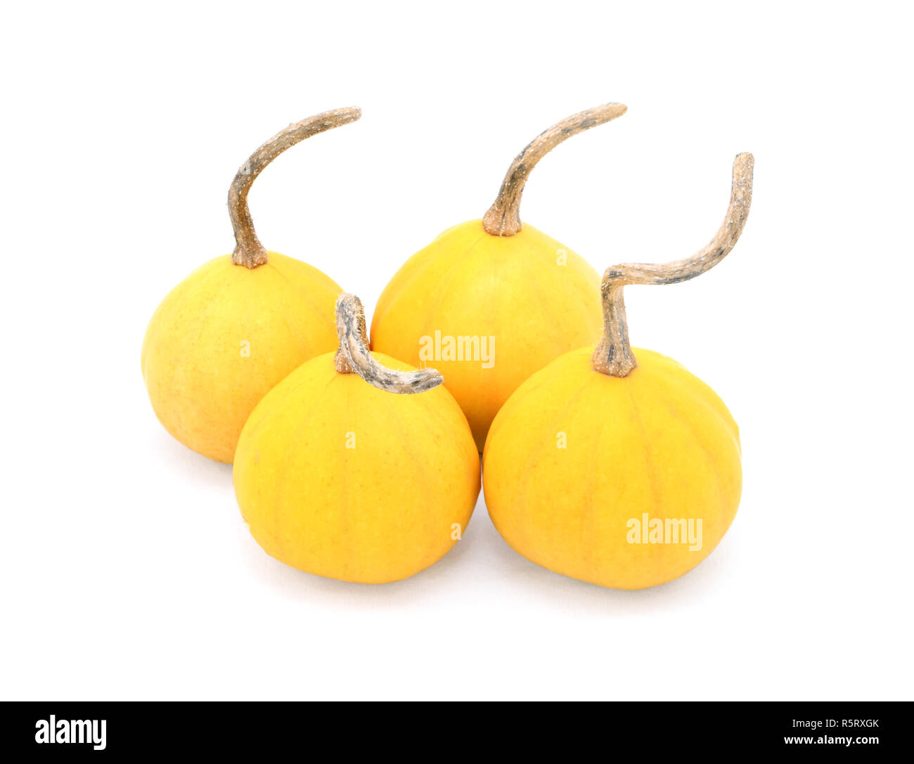 Four small yellow ornamental gourds Stock Photo - Alamy