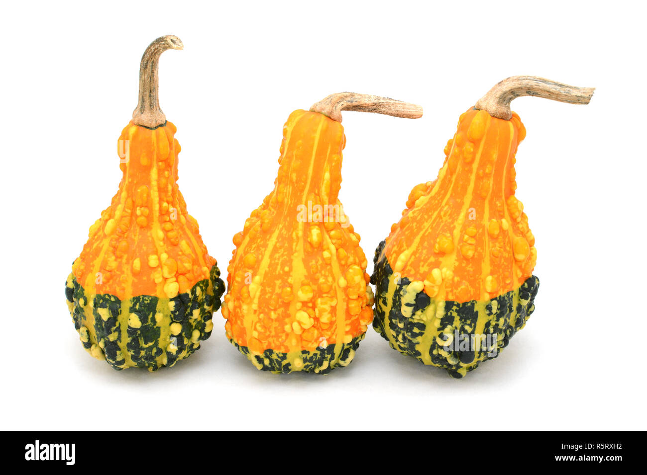 Bumpy gourds Cut Out Stock Images & Pictures - Alamy