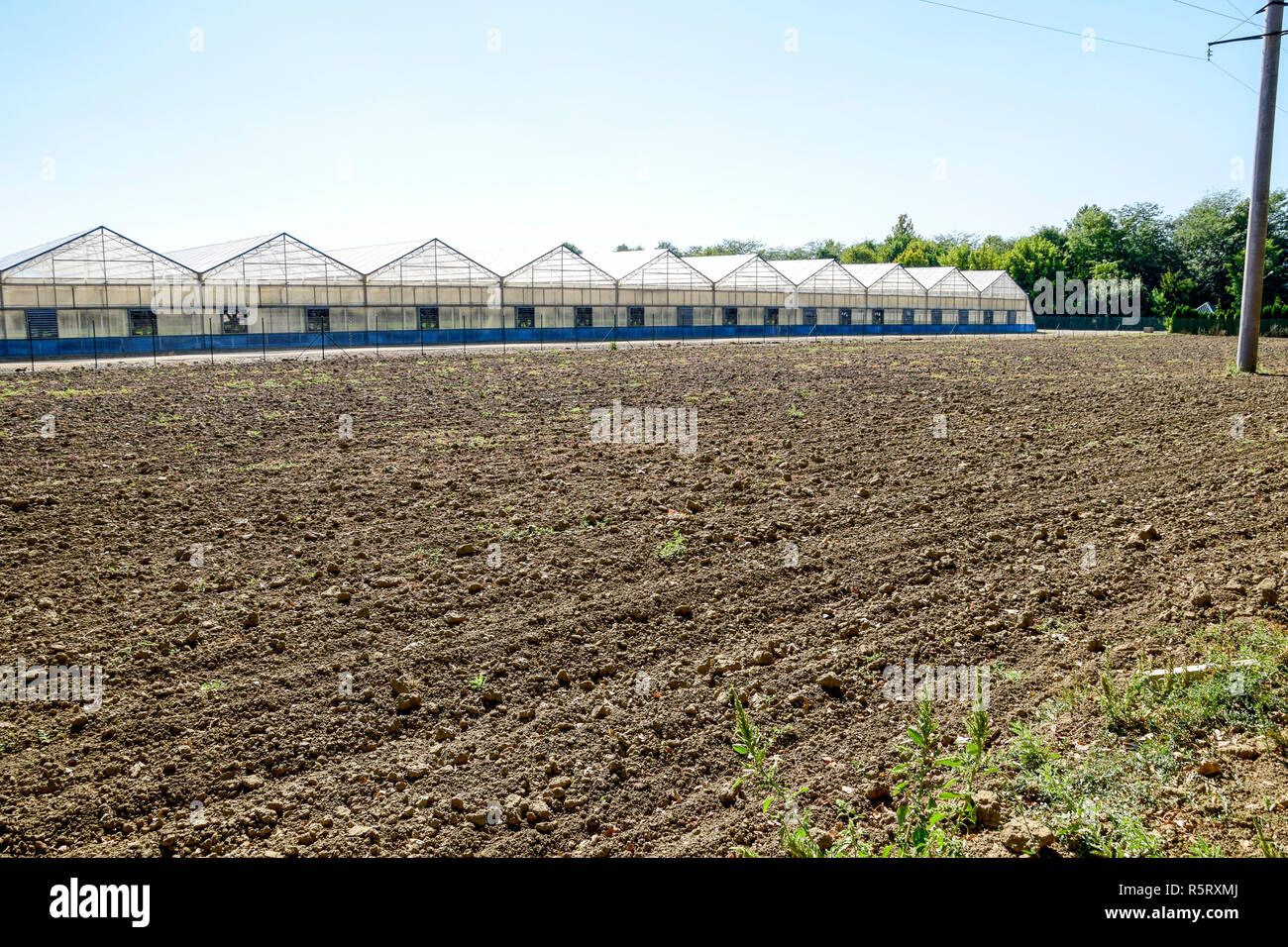 Polycarbonate greenhouses. Greenhouse complex. Greenhouses for growing ...