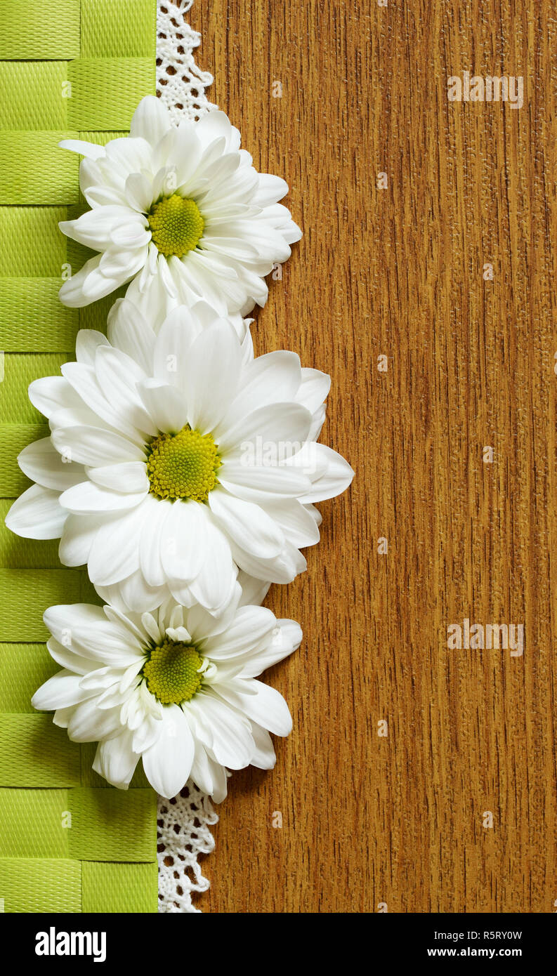Daisies line and lace separate the two colors Stock Photo - Alamy