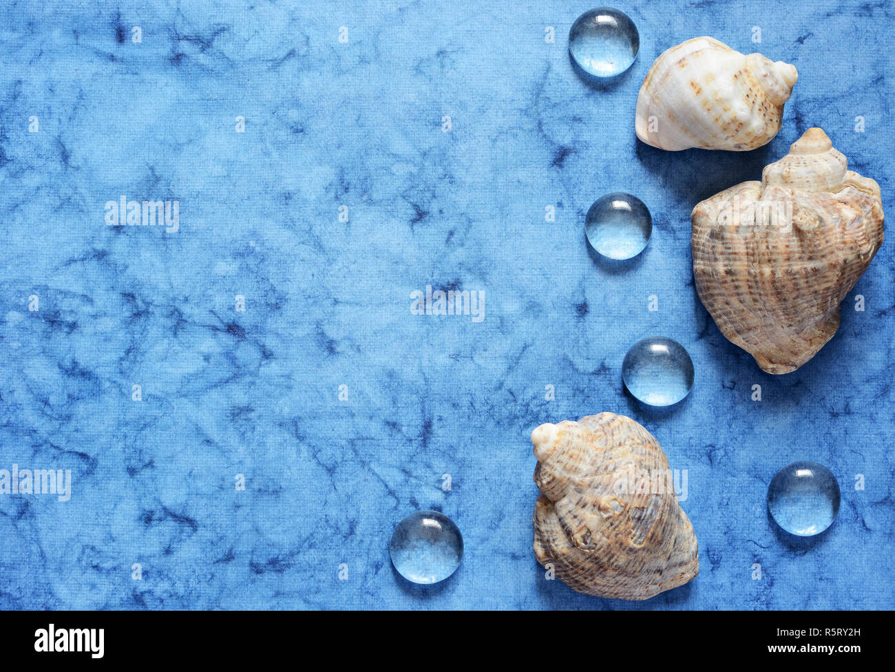 Blue sea background with shells Stock Photo - Alamy