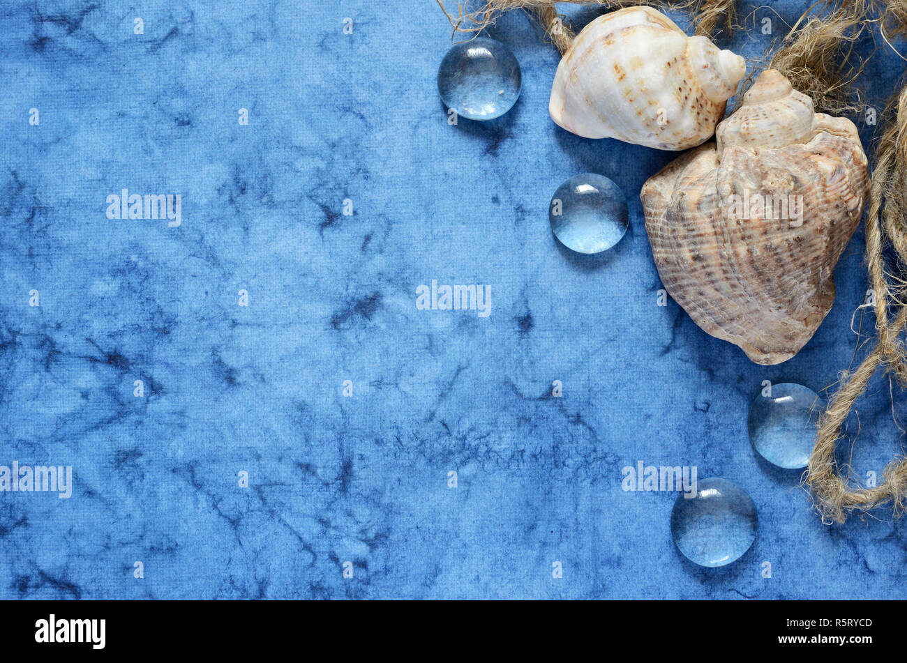 Marine background with shells and a rope Stock Photo - Alamy