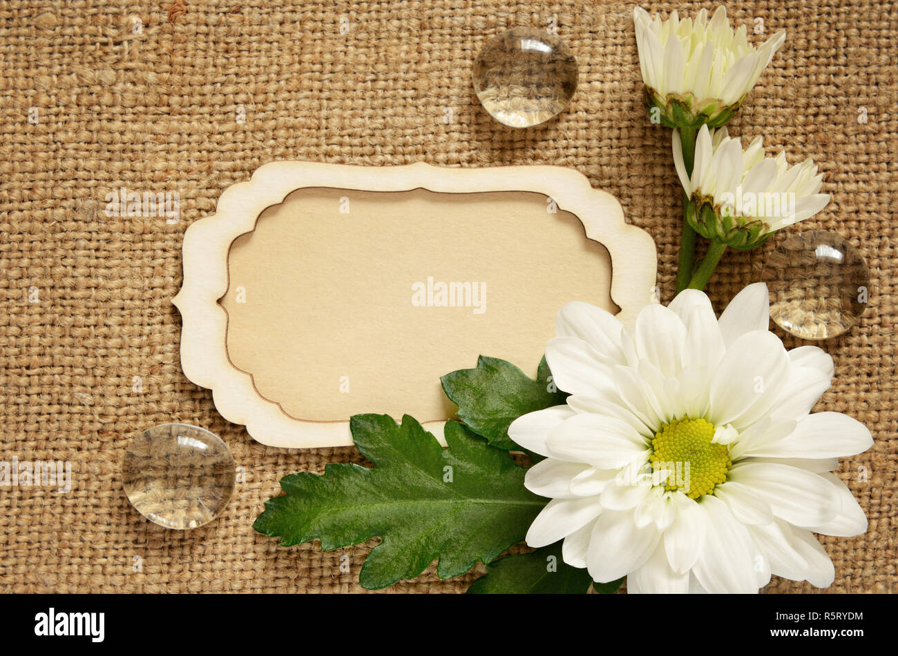 Canvas background with daisy arrangement and a card Stock Photo - Alamy