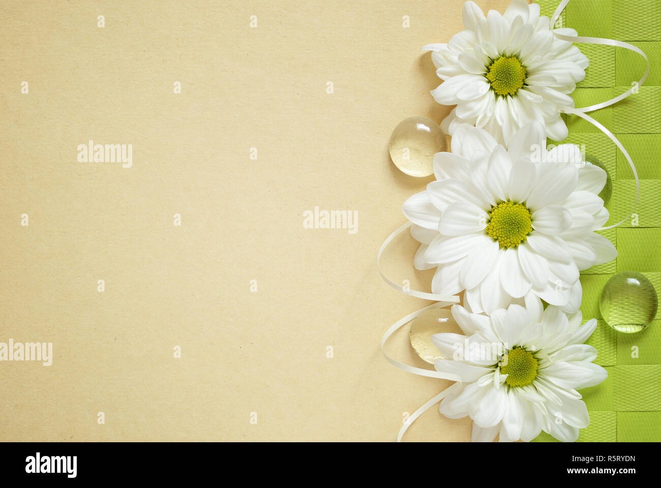 Chamomiles line separates two colors Stock Photo - Alamy Chamomiles line separates two colors Stock Photo - Alamy