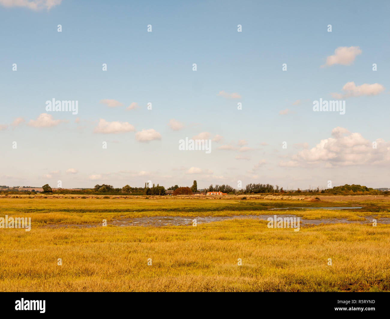open marshland landscape scene with blue skies, clouds, and grass Stock ...