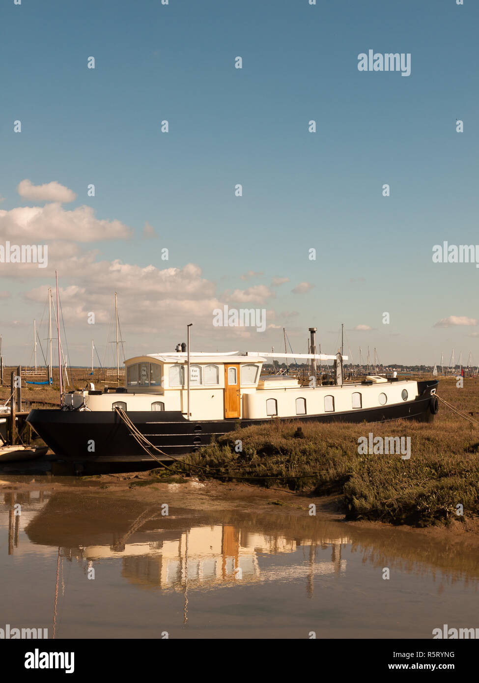 parked moored white and black boat in dockland marshland Stock Photo ...