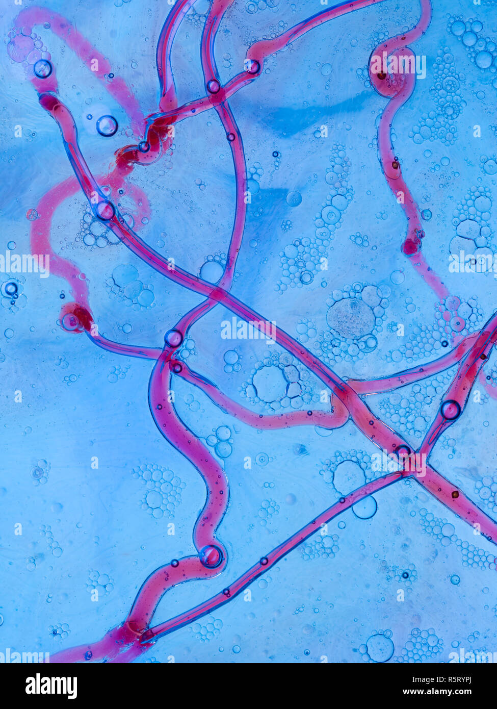 Blood vessels abstract hi-res stock photography and images - Alamy