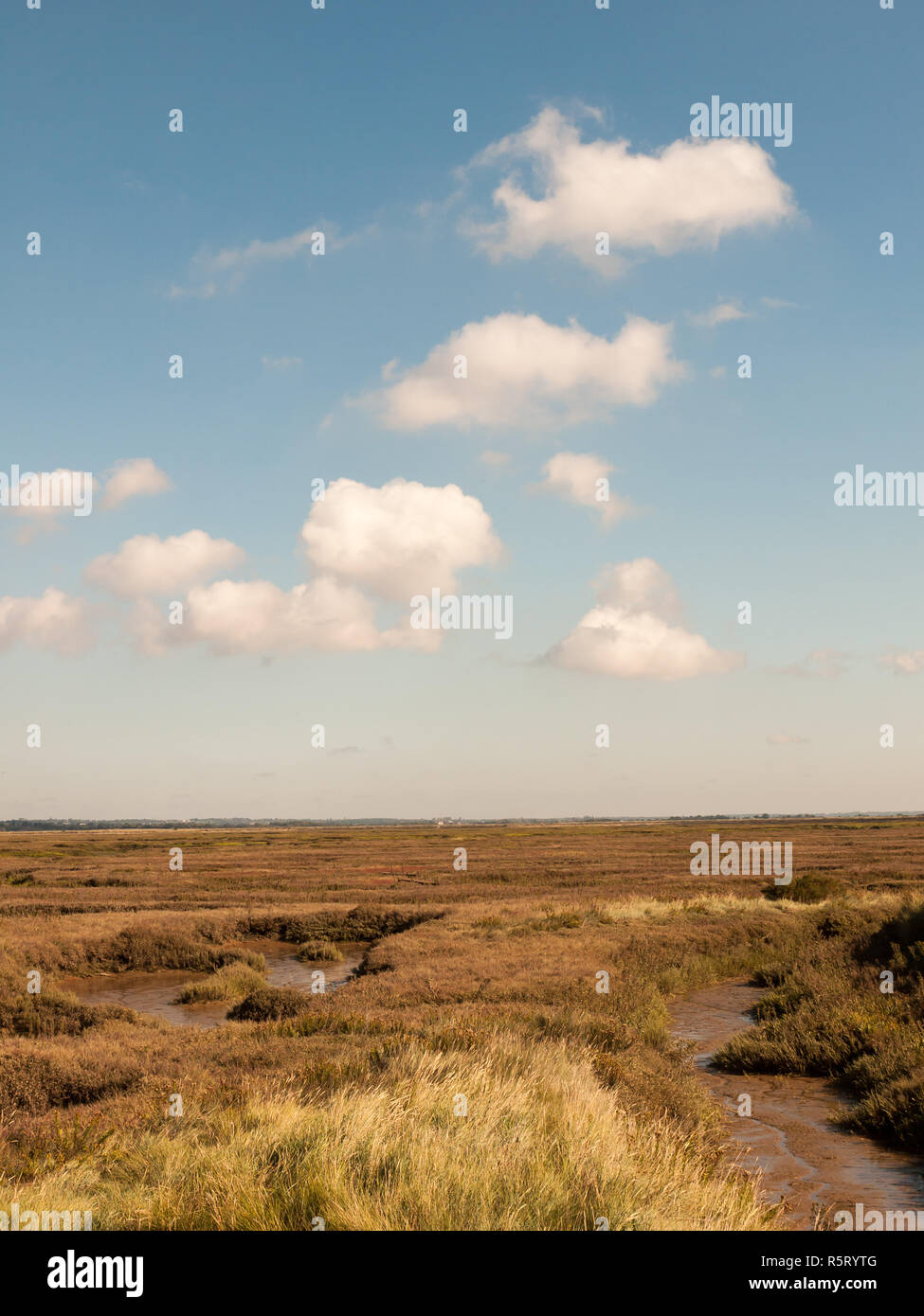 open marshland landscape scene with blue skies, clouds, and grass Stock ...