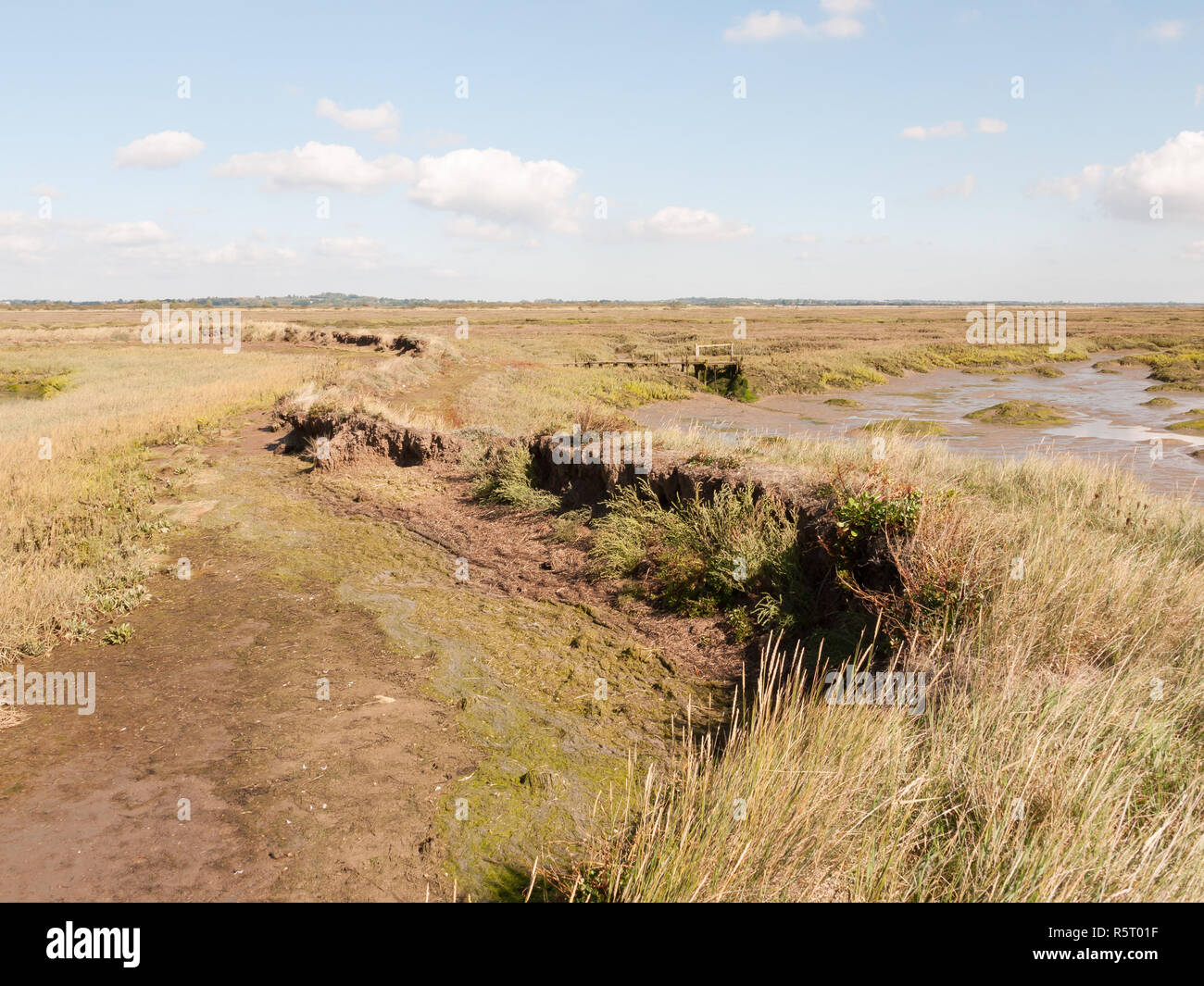 landscape scene marshland outside no people walkway scene Stock Photo ...