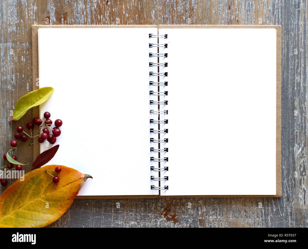 Autumn background with leaves and open notebook Stock Photo - Alamy