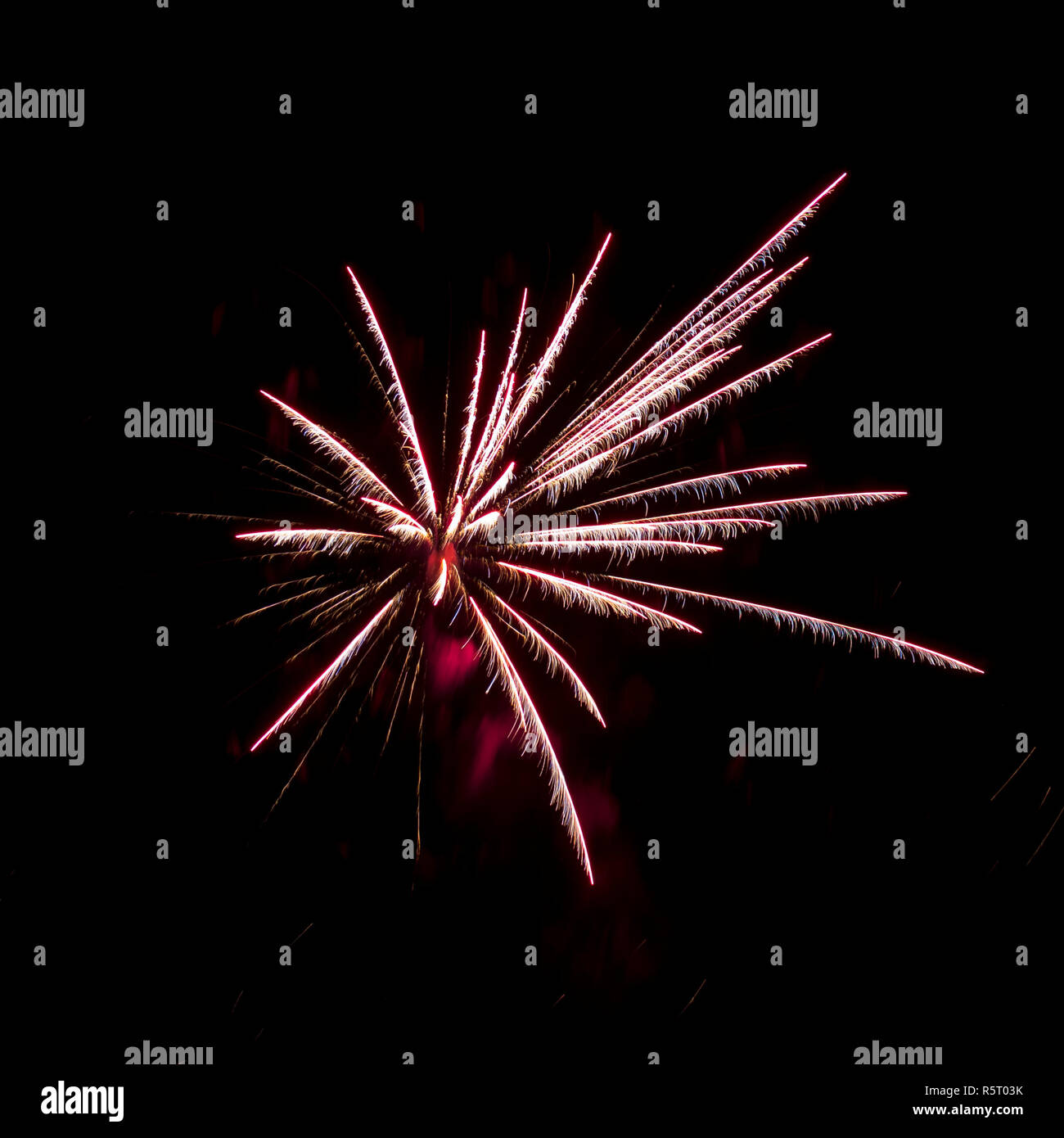 Firework at night Stock Photo - Alamy