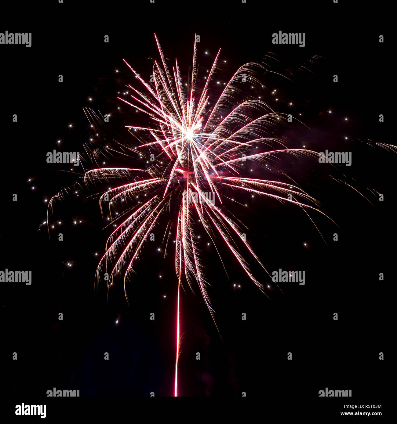 Firework at night Stock Photo - Alamy
