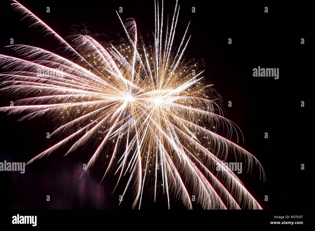 Firework at night Stock Photo - Alamy