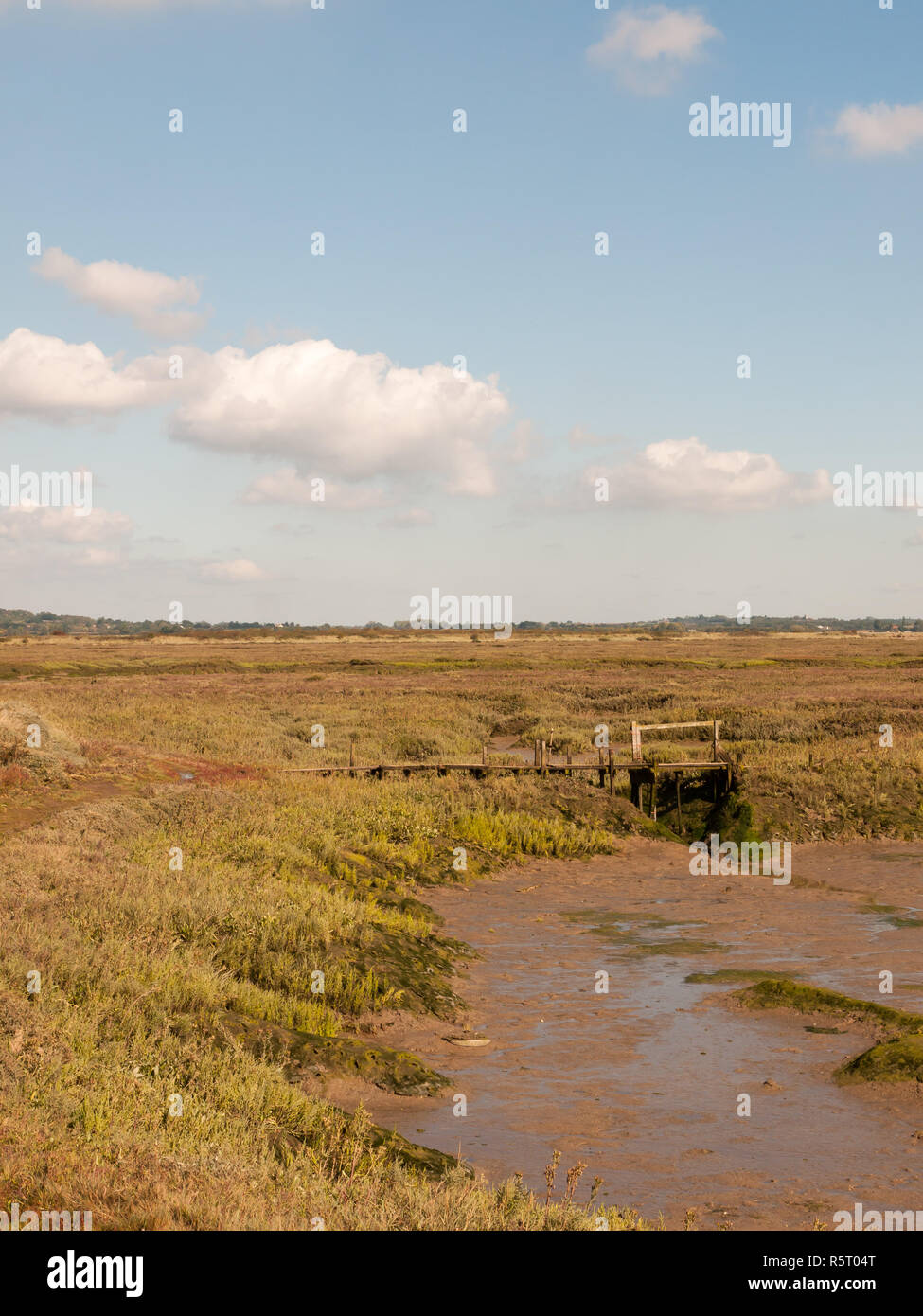 open landscape marshland scene outside empty no people grass and sky ...
