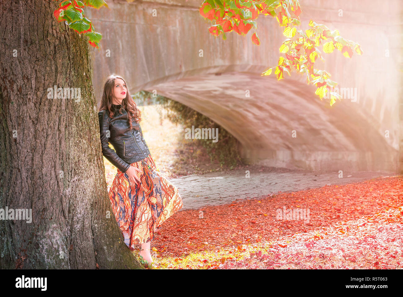 Earthy autumn colors hi-res stock photography and images - Alamy