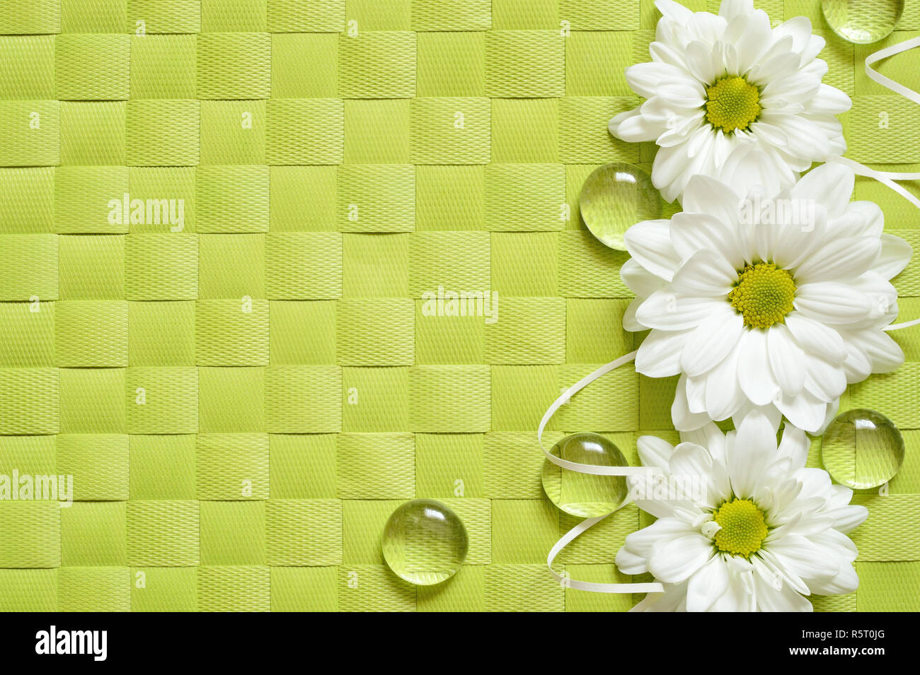 Daisies on green checkered background Stock Photo - Alamy