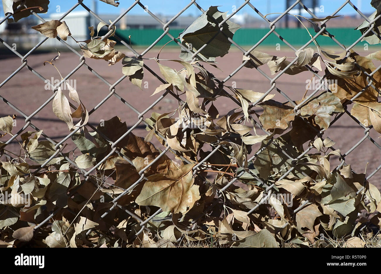 Metal leaves fence hi-res stock photography and images - Alamy