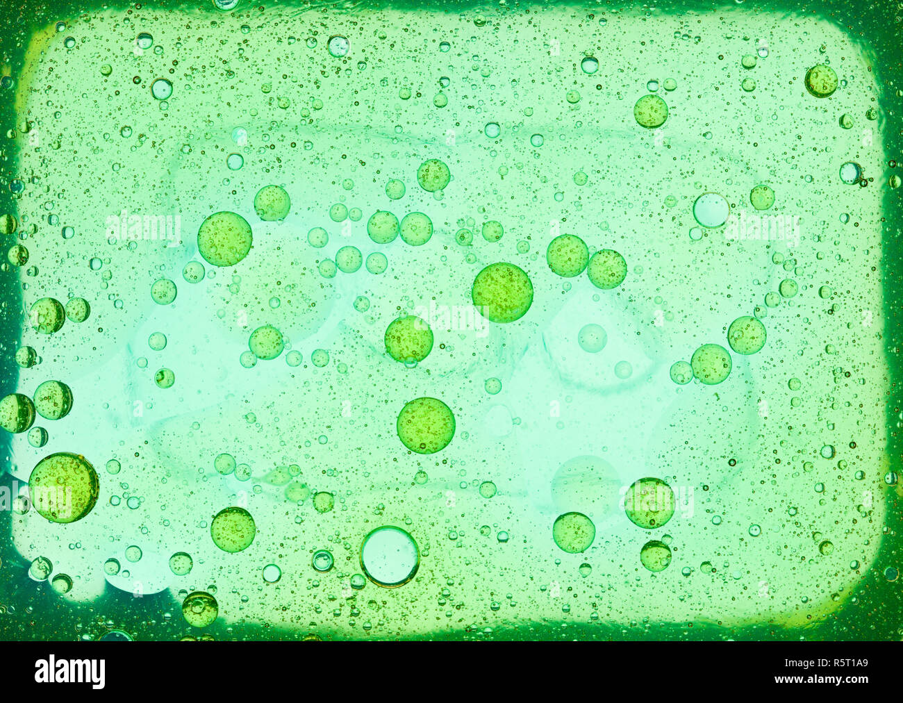 green fun bubbles Stock Photo - Alamy