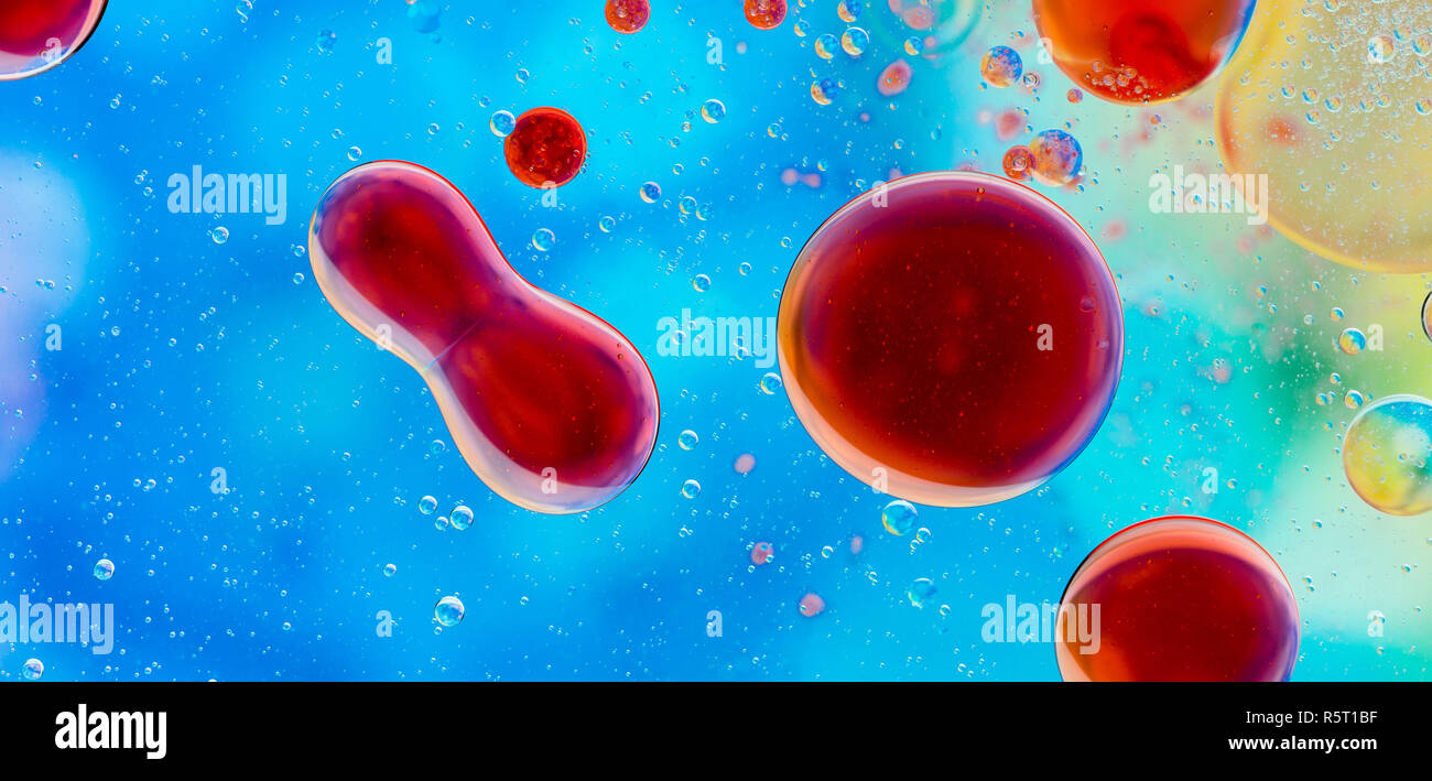 Imune system hi-res stock photography and images - Alamy
