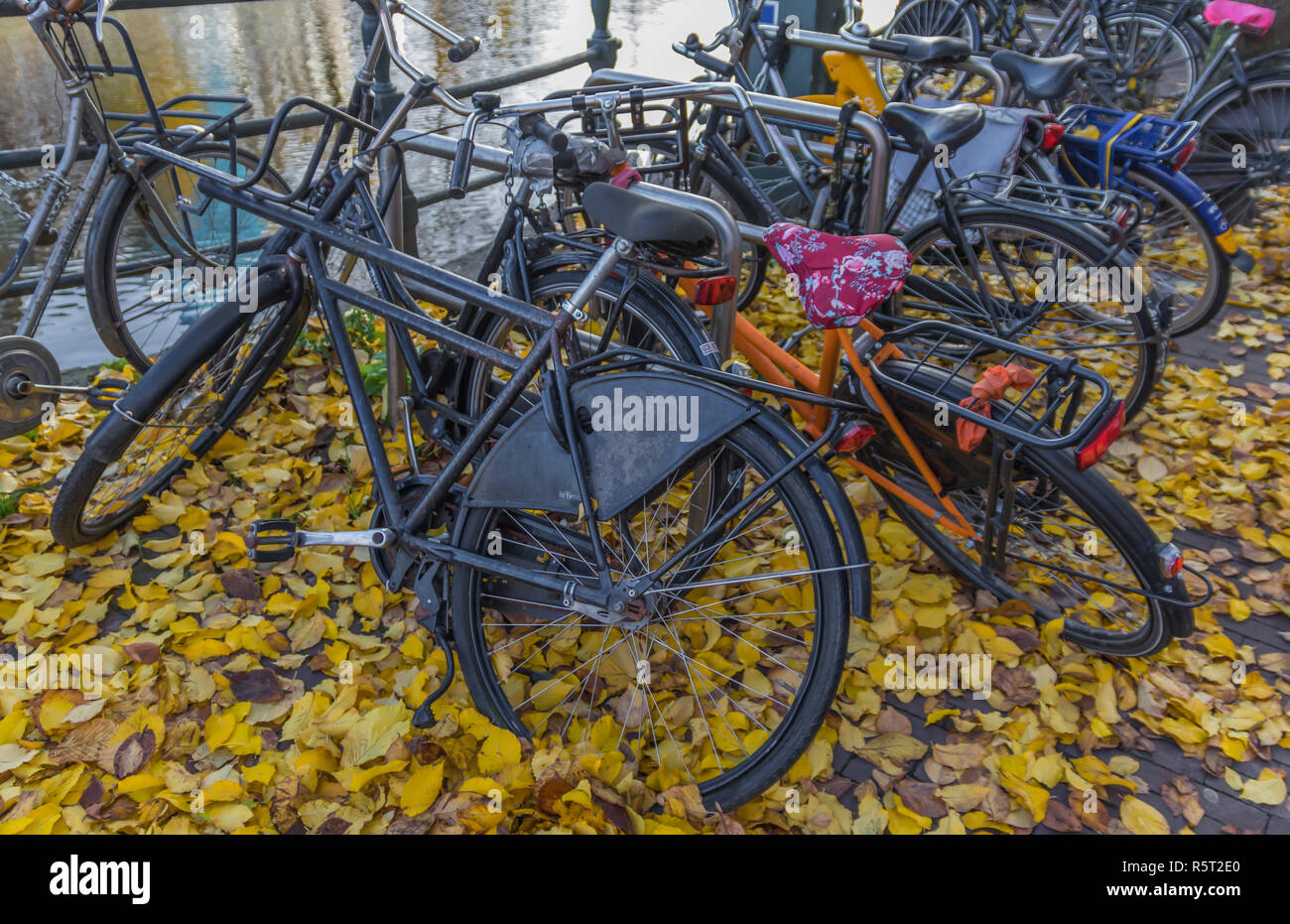 Non polluted hi-res stock photography and images - Alamy