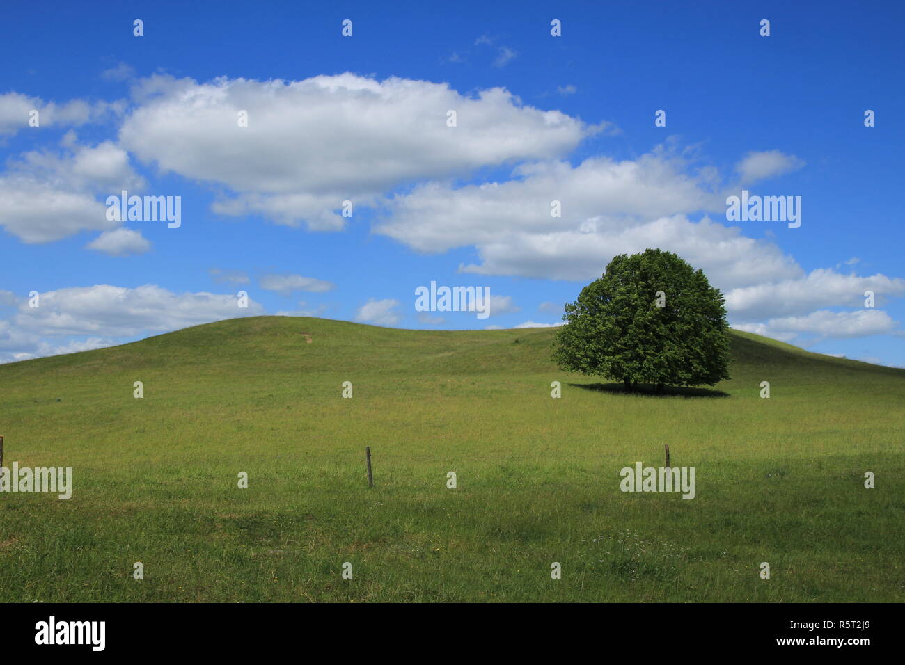 Ki expanse hi-res stock photography and images - Alamy
