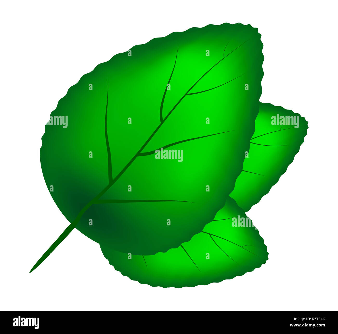 Vector herbal clipart hi-res stock photography and images - Alamy