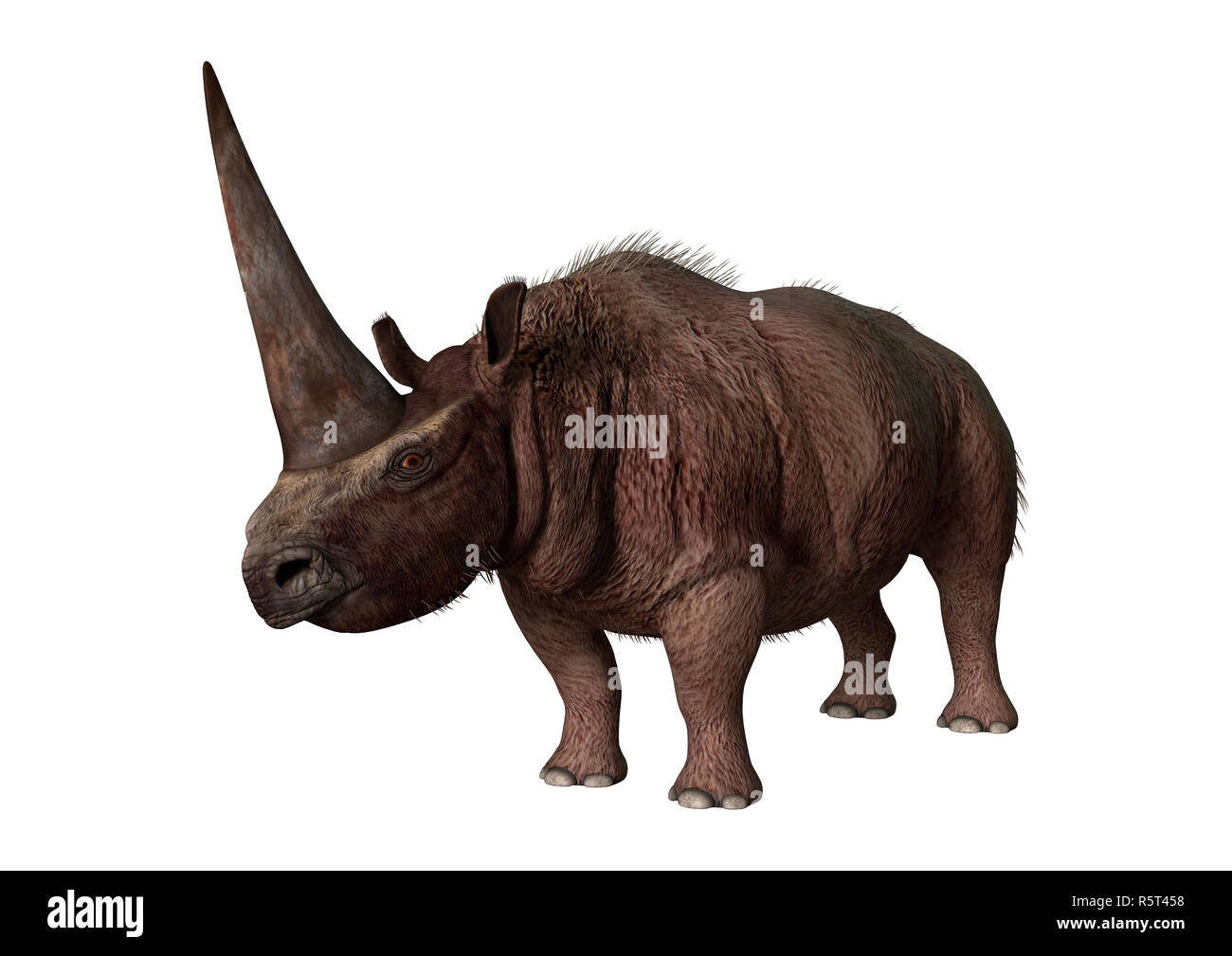 Elasmotherium hi-res stock photography and images - Alamy