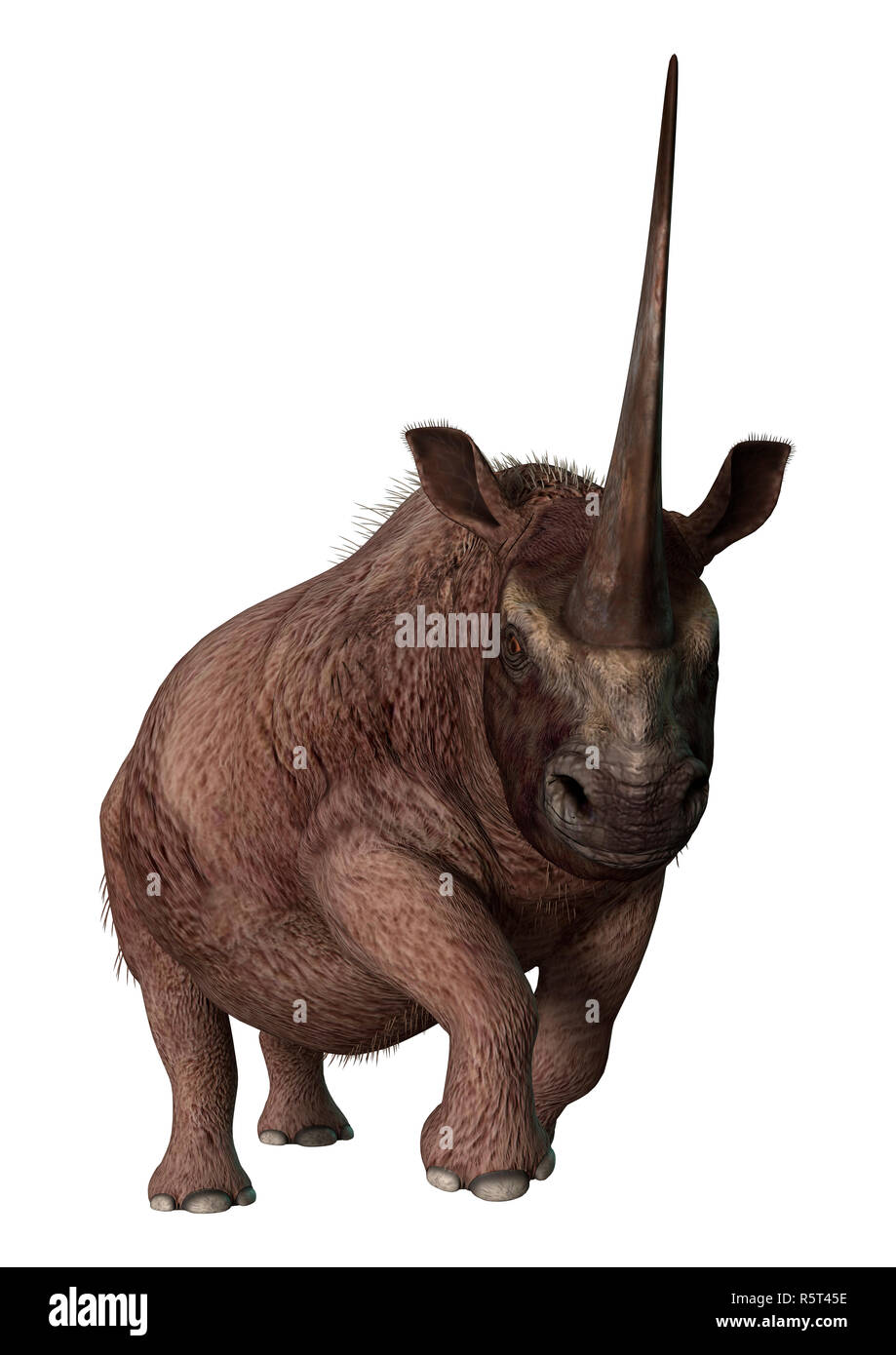 Elasmotherium hi-res stock photography and images - Alamy