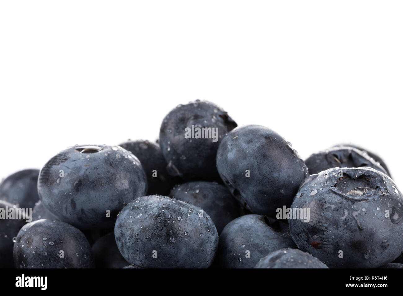 blueberries isolated close up Stock Photo - Alamy