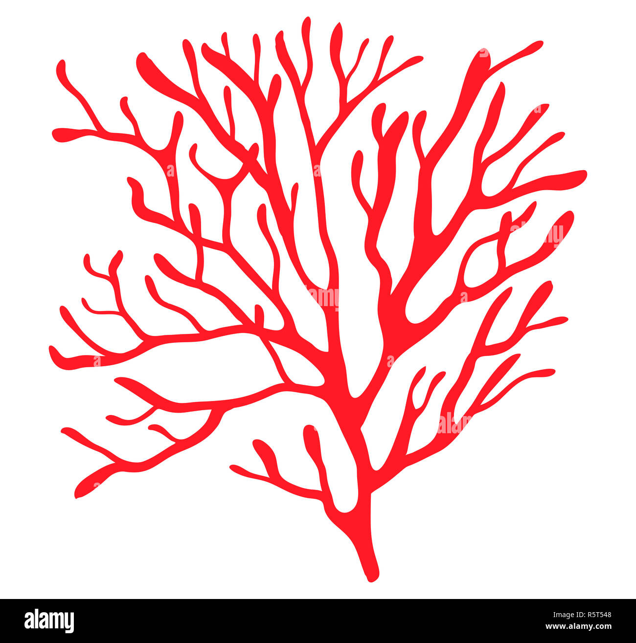 red algae silhouette vector symbol icon design. Beautiful illustration ...