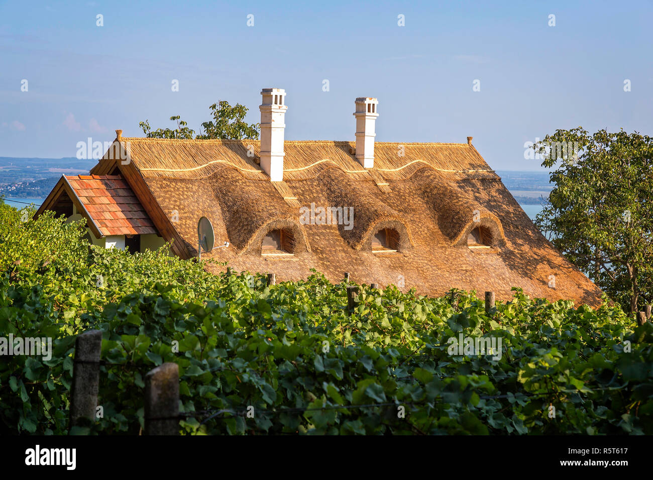 Grape village hungary hi-res stock photography and images - Alamy