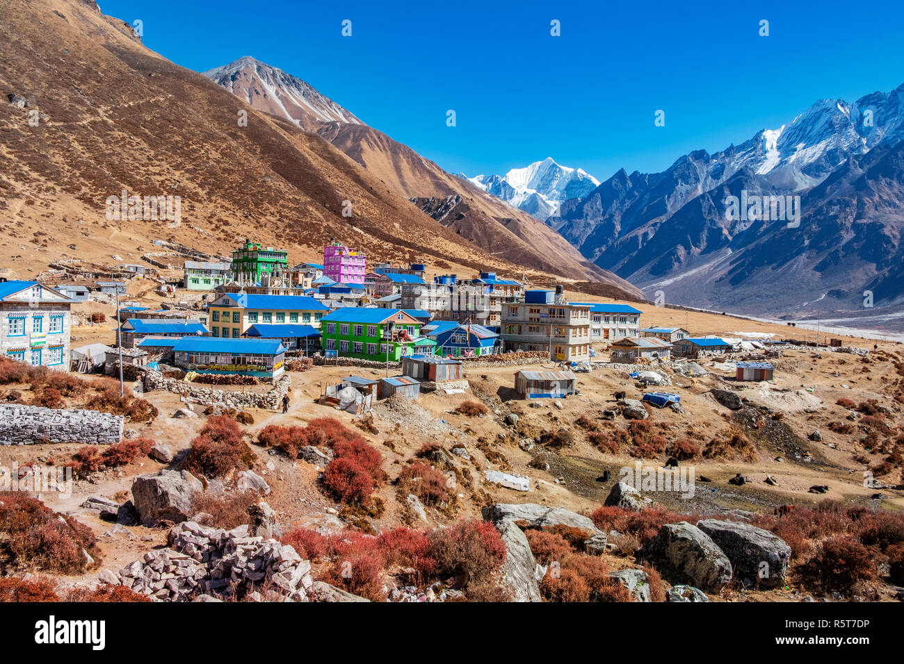 Kyanjin village at Langtang valley, Nepal, surrounded by the Tsergo Ri and Yala Peak mountains ...