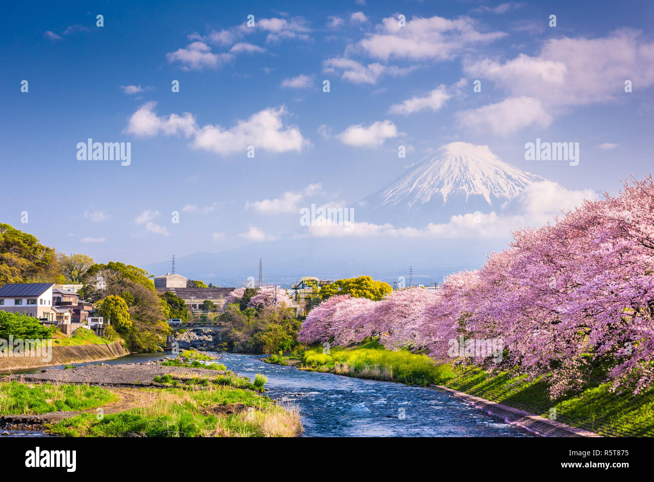 Mt. Fuji, Japan spring landscape Stock Photo - Alamy