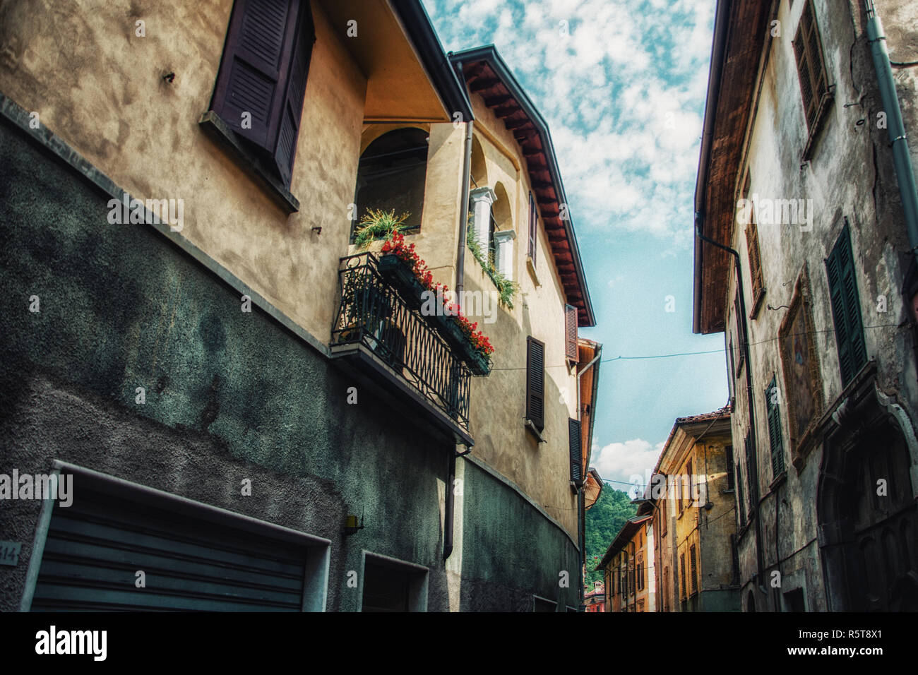 Stylized window pane hi-res stock photography and images - Alamy