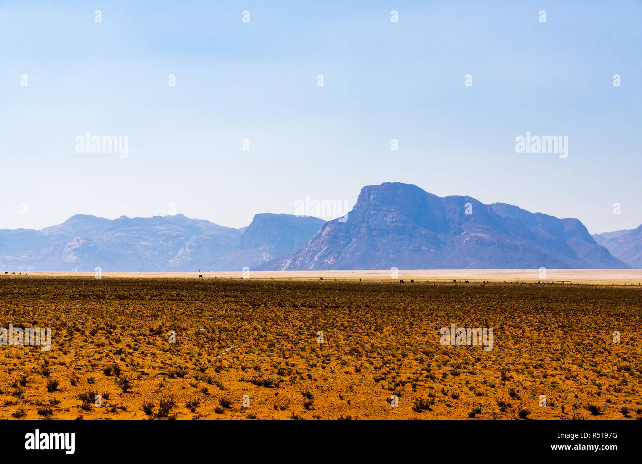 Namibian electric hi-res stock photography and images - Alamy