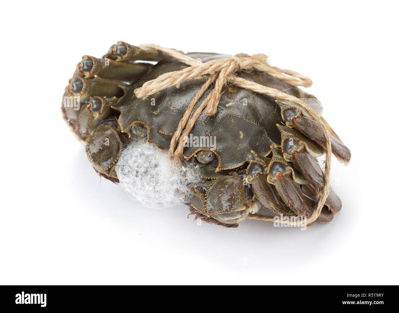 Fresh steamed crab Cut Out Stock Images & Pictures - Alamy