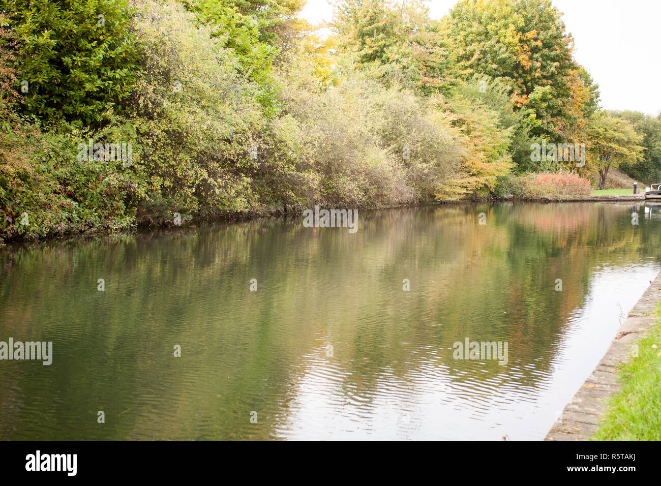 autumn view of lake , trees and bench Stock Photo - Alamy