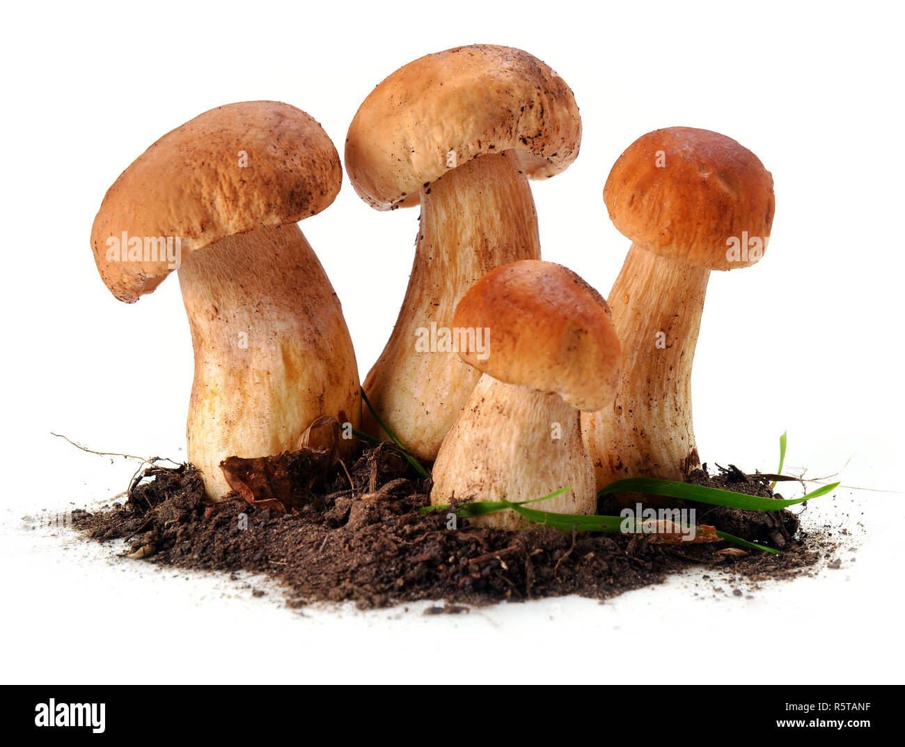 Penny on ground Cut Out Stock Images & Pictures - Alamy