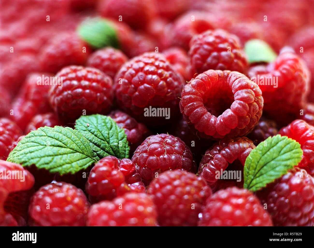 Considerable quantity hi-res stock photography and images - Alamy