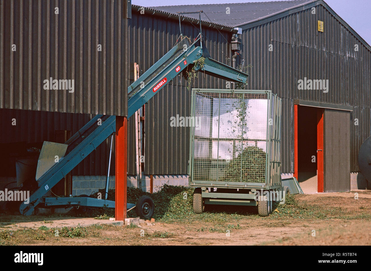 Hops Waste into Cart Kent UK Stock Photo - Alamy