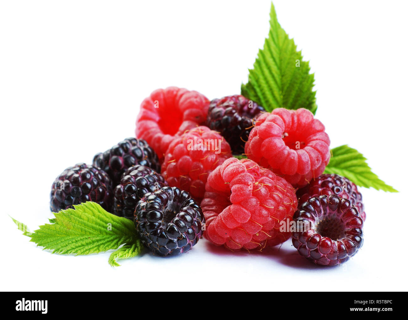 Red and black raspberry with leaves on a white background Stock Photo ...