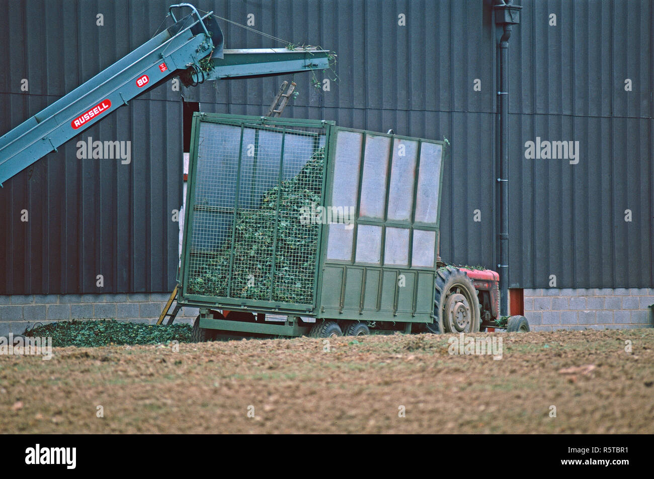 Hops Waste onto Cart Kent UK Stock Photo - Alamy