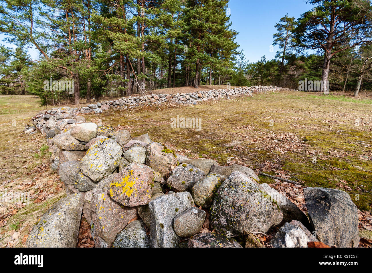 large granite rock single in nature environment isolated from other ...