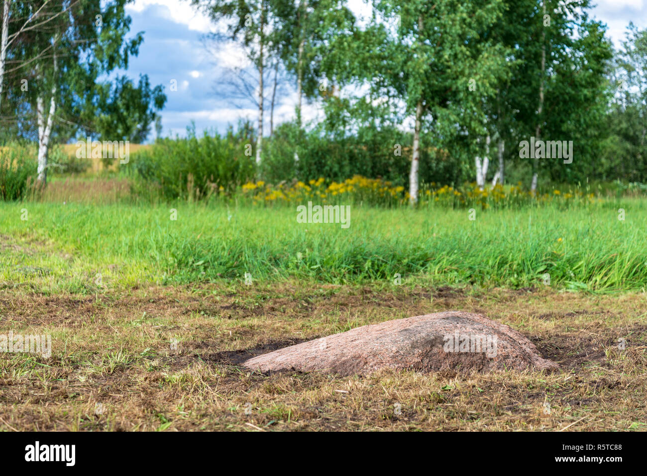 large granite rock single in nature environment isolated from other ...