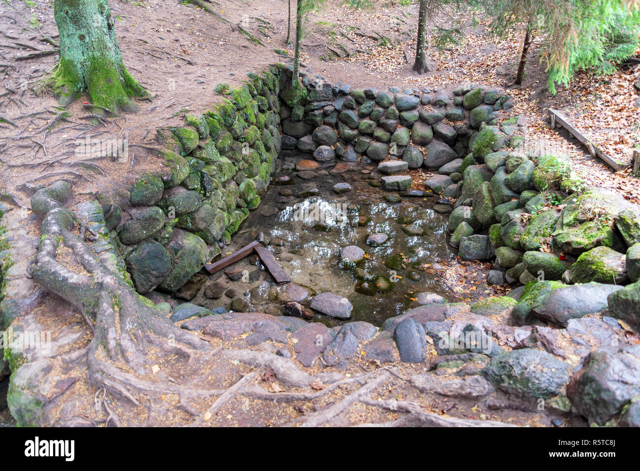 large granite rock single in nature environment isolated from other ...
