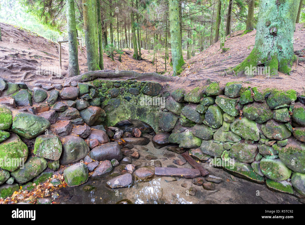 large granite rock single in nature environment isolated from other ...