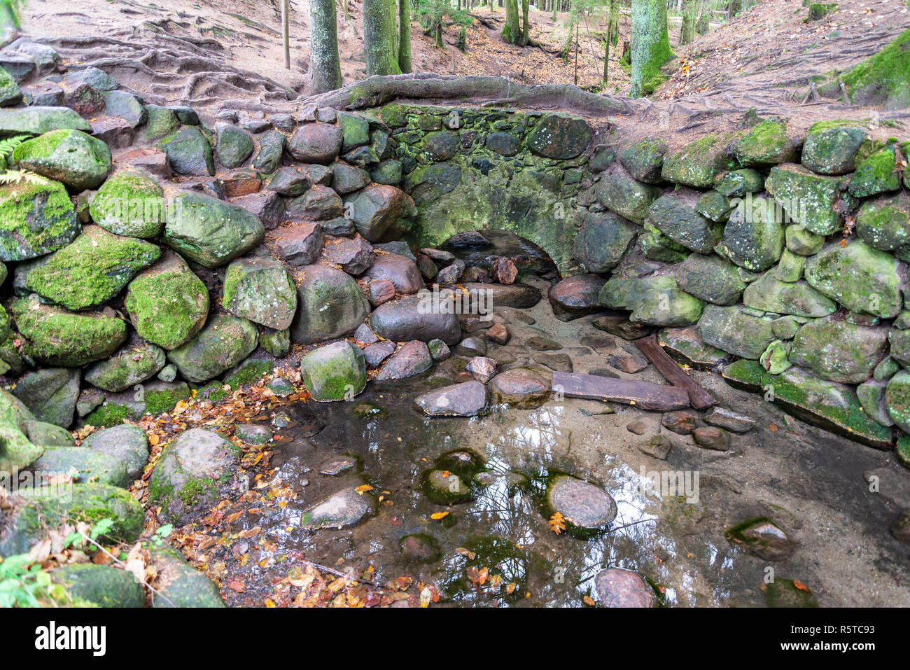 large granite rock single in nature environment isolated from other ...